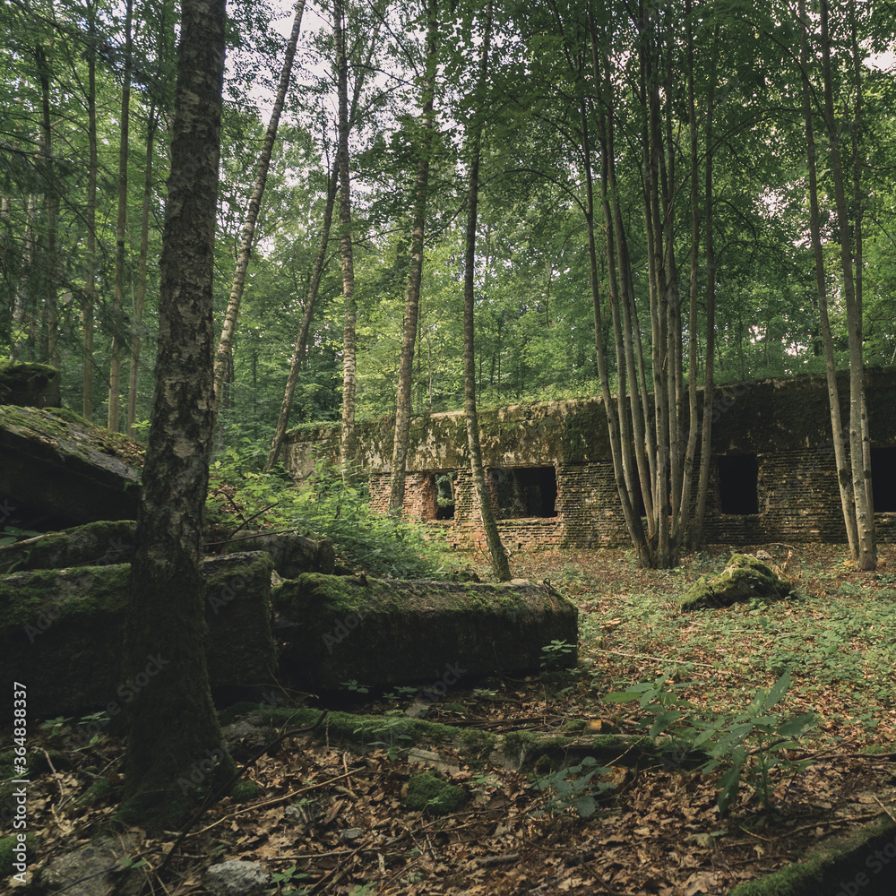 Nazi bunkers in The Wolf's Lair. Adolf Hitler's first Eastern Front ...