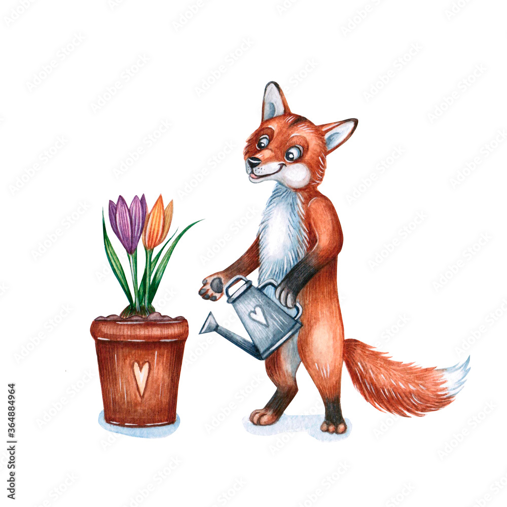 Watercolor illustration of a funny fox. Cute fox isolated on white ...