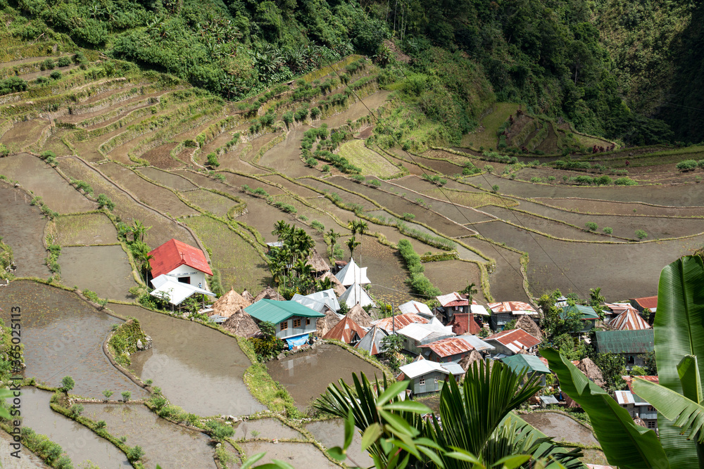 The Batad village cluster-part of the Rice Terraces of the Philippine ...