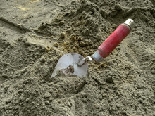 Stick In The Mud Free Stock Photo - Public Domain Pictures