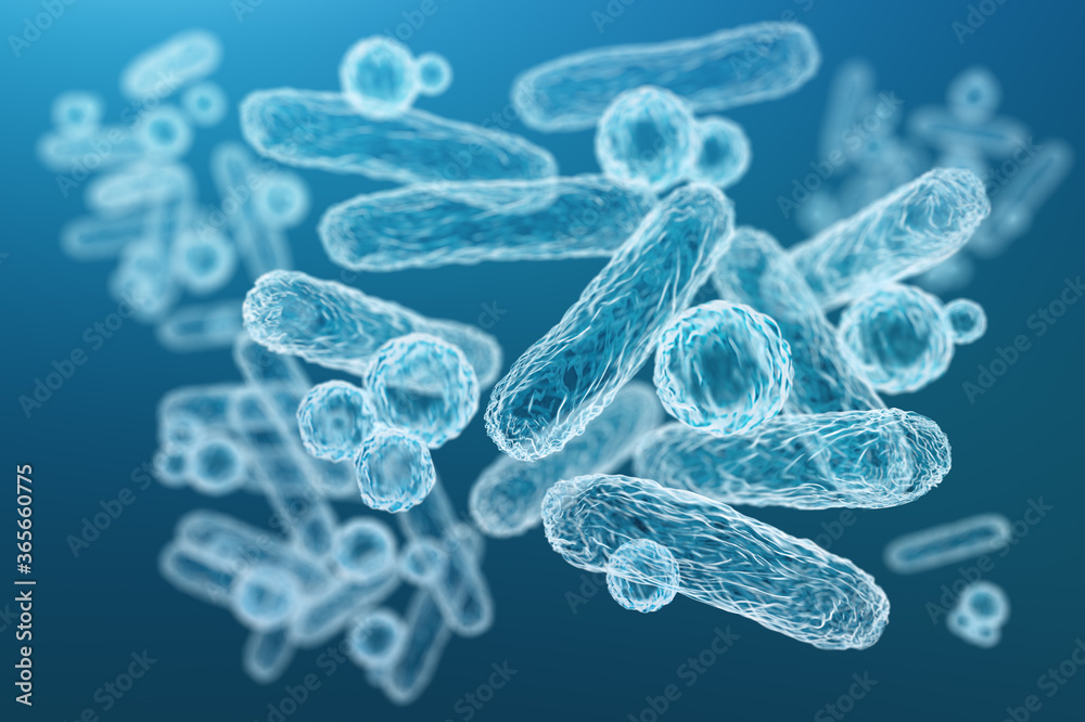 Enterobacteriaceae, gram-negative rod-shaped bacteria, part of ...