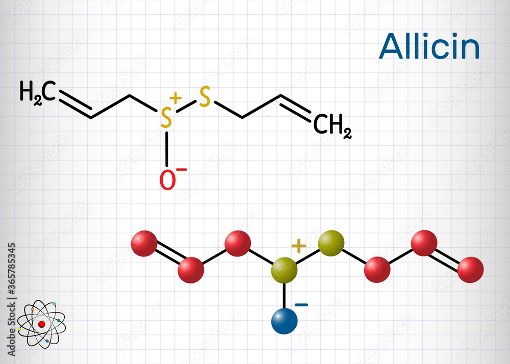 Allicin, sulfoxide molecule. This compound exhibits antibacterial and ...