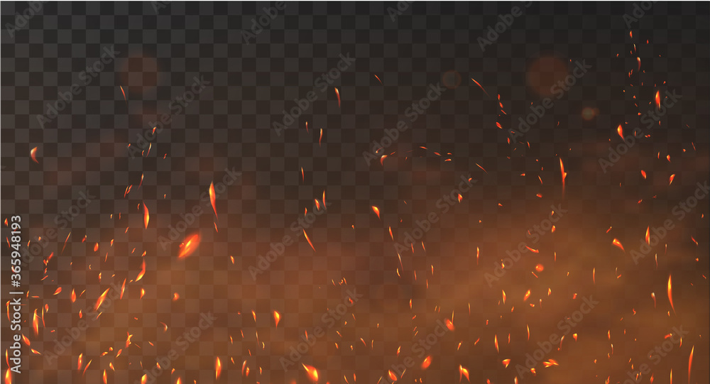 Realistic fire sparks background on a transparent background. Burning ...