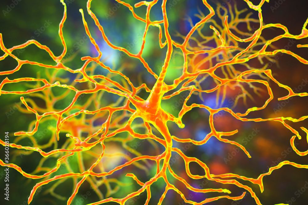 Retinal neuron, a neuron that plays crucial role in vision, it ...