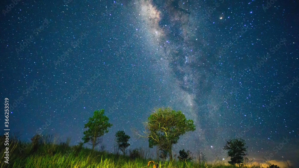 Milky-way and stars across the night sky with silhouette of tree and ...