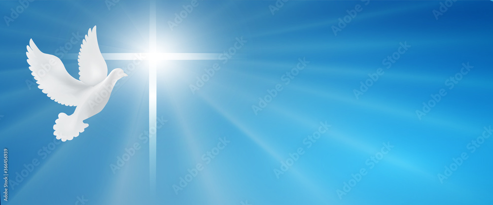 Dove whit christian cross symbol. Crucifix. Easter. Sign of purity ...