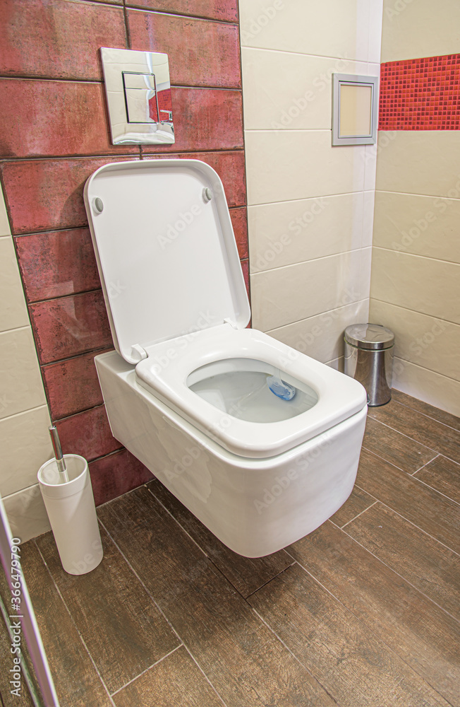 Toilet room interior. A variant of the arrangement of objects and ...