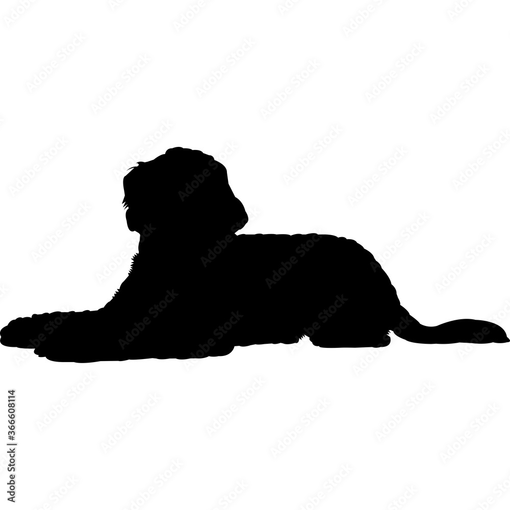 Labradoodle Silhouette Vector Stock Vector | Adobe Stock