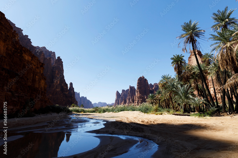 Wadi Disah, also known as Wadi Qaraqir, is a 15 kilometer long canyon ...