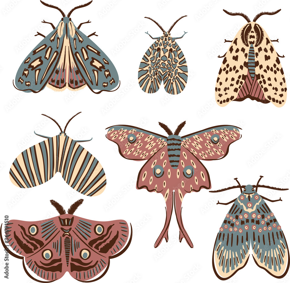 Moth clipart illustration set hand drawn Stock Illustration | Adobe Stock