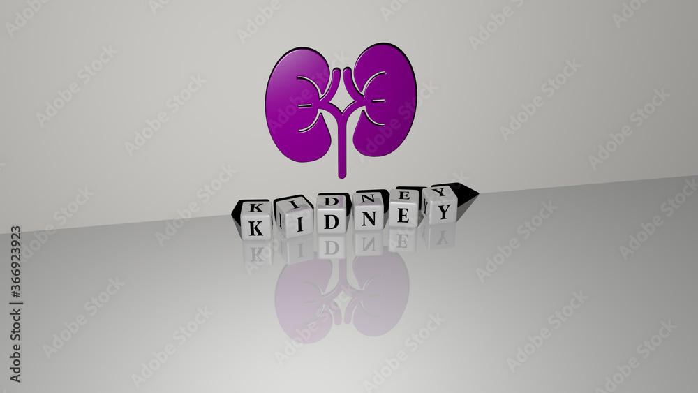 3D graphical image of KIDNEY vertically along with text built by ...