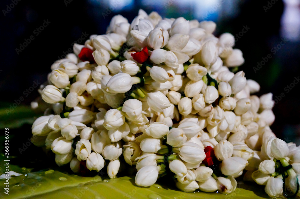 Foto de Stock Jasmine garland.Asian white flowers. GAJRA- weaving of ...