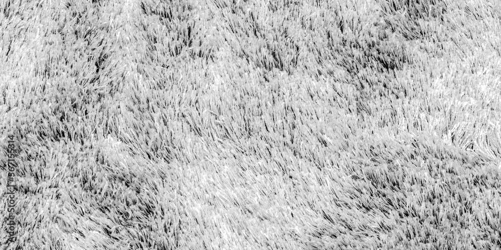 Texture of a long pile carpet - large image in high resolution Stock ...