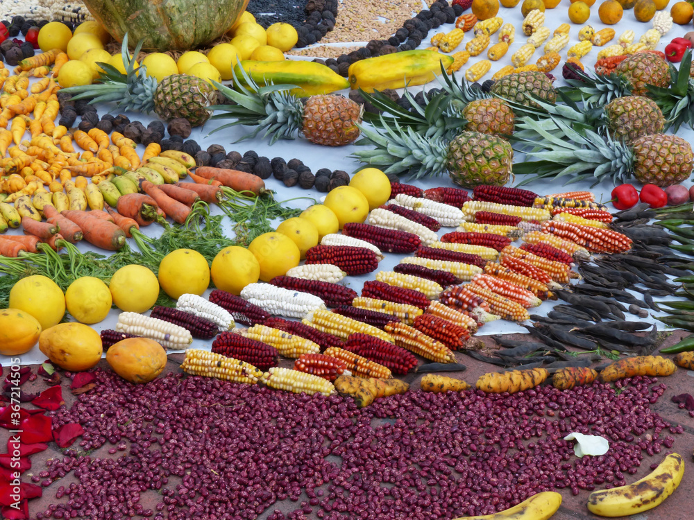 Foto Fragment of Chacana or Ceremony in homage to Pachamama (Mother ...