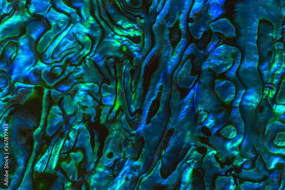 Brightly coloured New Zealand Paua shell patterns. Paua is a large ...
