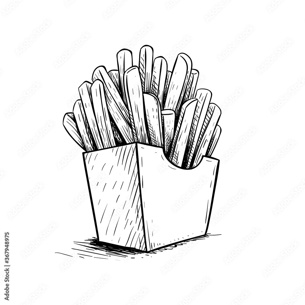 French fries in paper box. Sketch style hand drawn illustration. Fried ...