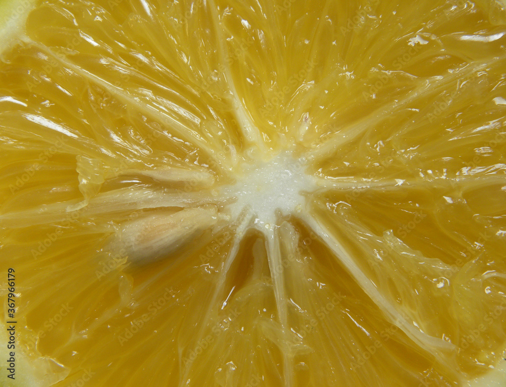 Cut cross section detail of yellow color sliced ripe Sweet lime fruit ...