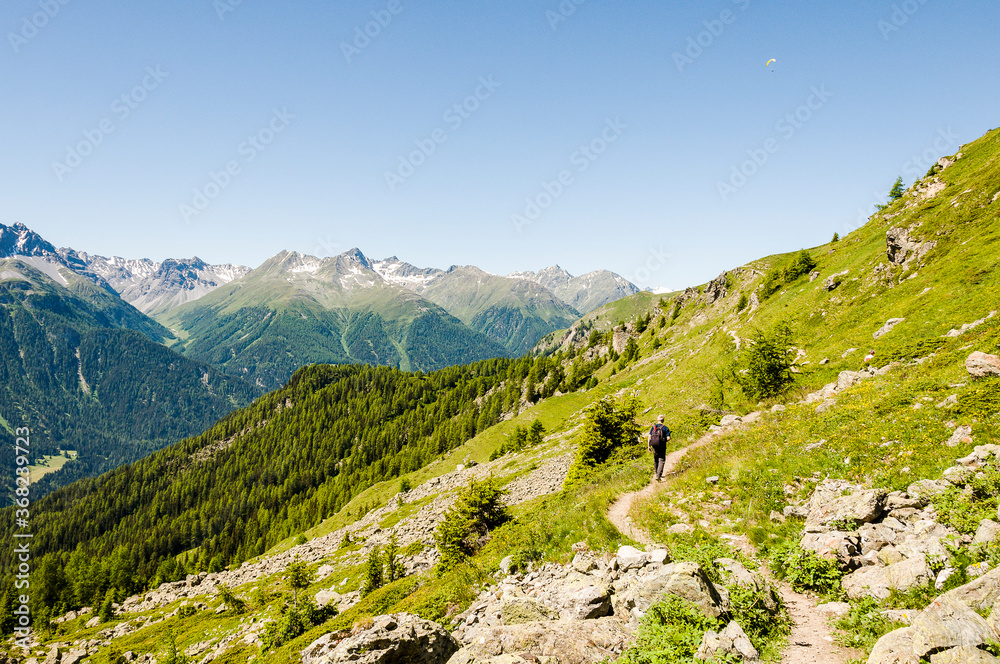 Foto de Stock Ftan, Alp Laret, Wanderweg, Wanderer, via Engiadina ...