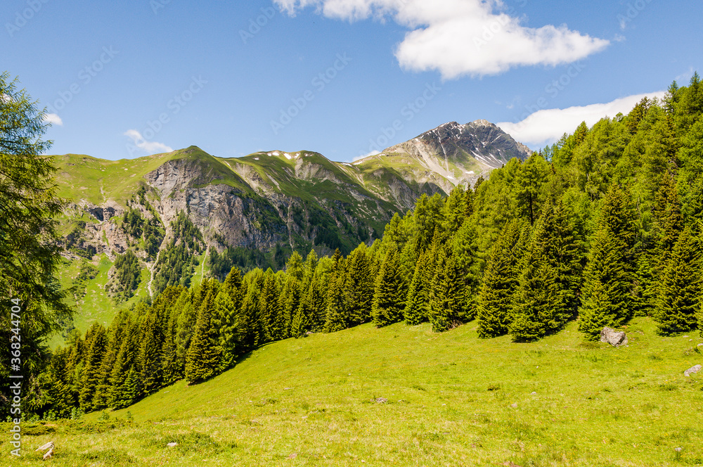 Ftan, Wanderweg, via Engiadina, Val Tasna, Alp Laret, Bergbauer, Alm ...