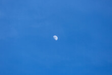 Half Moon In Daylight Free Stock Photo - Public Domain Pictures
