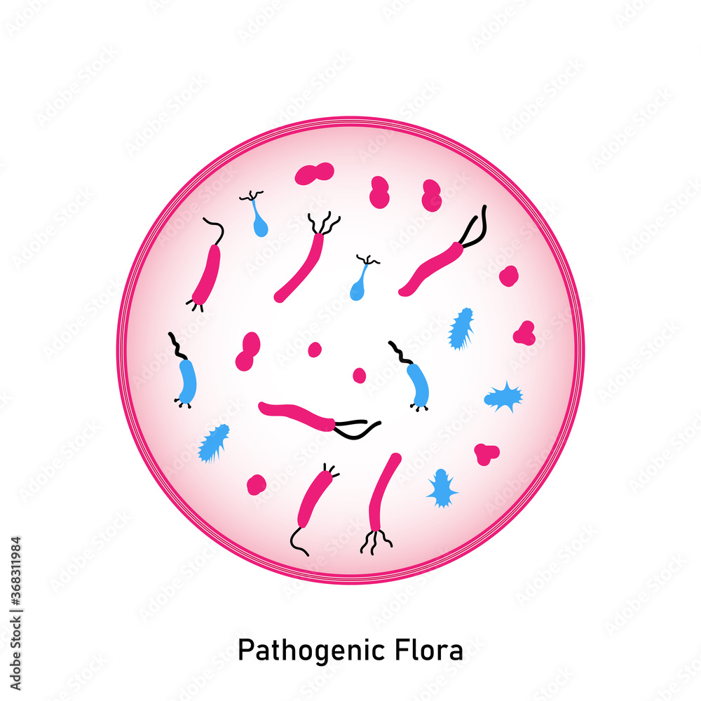 Bacterial microorganism in a circle. Pathogenic flora of the skin and ...