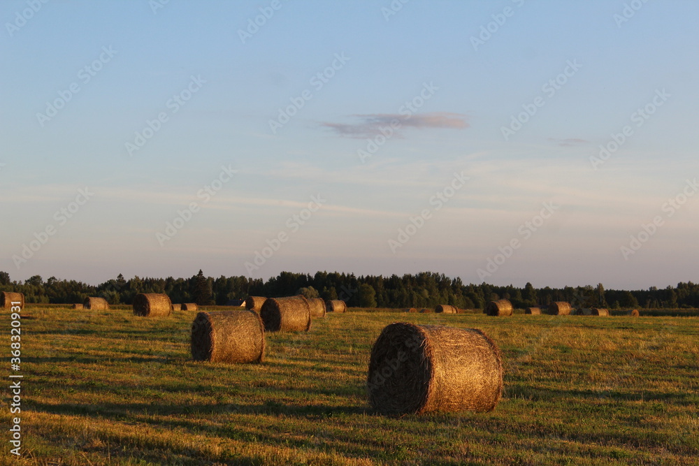 We are struggling to finish our hard work at job. Why? We forgot about ...