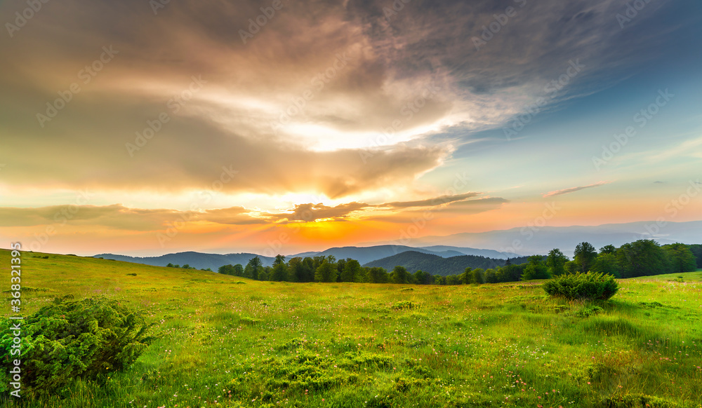 Sunset over green field Stock Photo | Adobe Stock