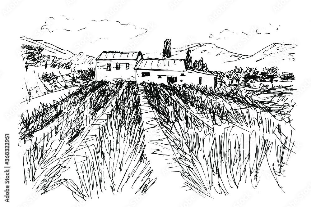 Black and white sketch by pen on a white background. Hilly landscape in ...