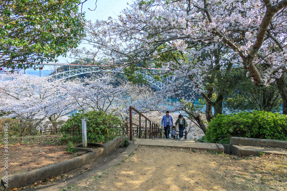 Cherry blossom season on spring at Saikaibashi Park in Saikai, Nagasaki ...