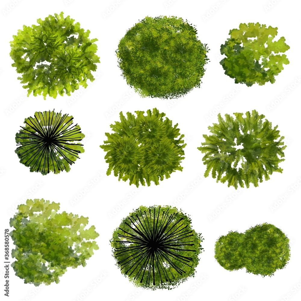 Set of watercolor tree top view for landscape plan and architecture ...