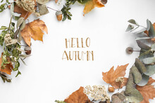 Hello Fall Free Stock Photo - Public Domain Pictures