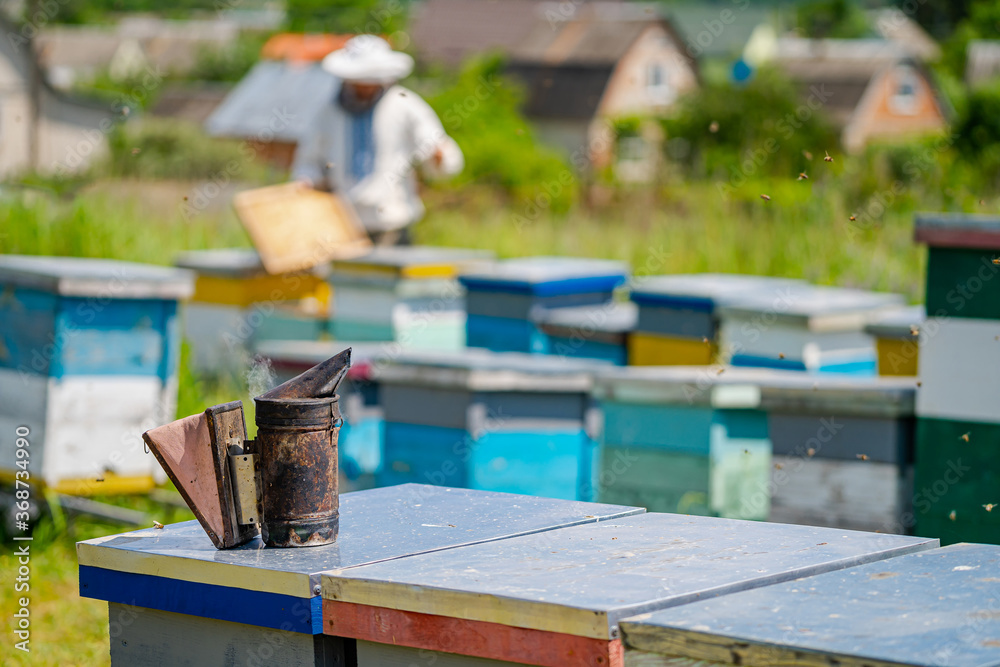 Colorful hives of bees on a meadow in summer. Hives in an apiary with ...