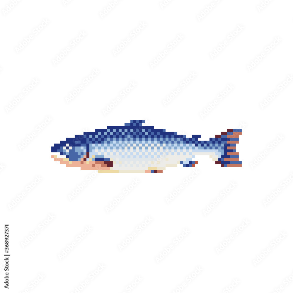 Salmon fish icon. Pixel art flat style. Isolated vector illustration. 8 ...