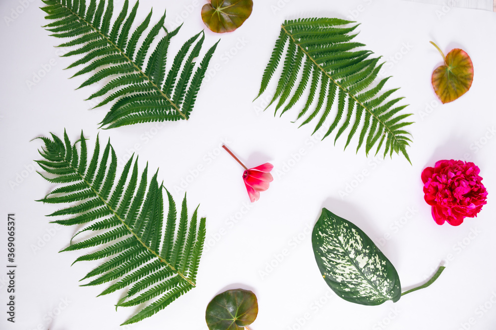 Creative layout made of spring flowers and green leaves. Nature ...