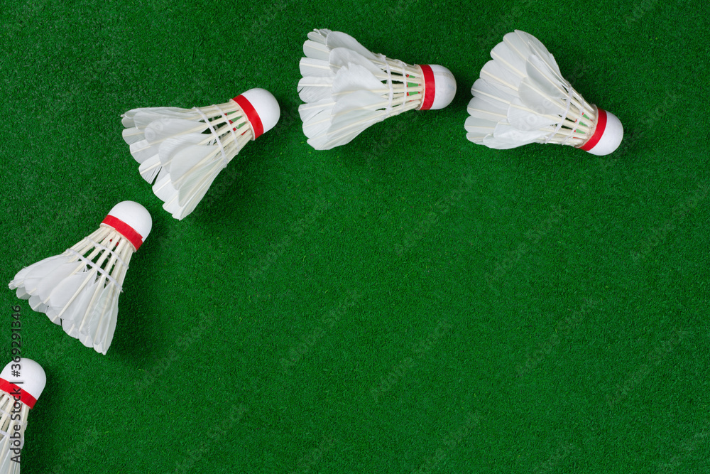 Badminton shuttlecocks arranged in a curve on a green badminton court ...