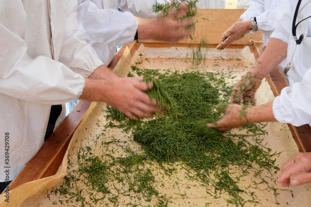 Temomicha, a traditional artisanal technique. It is a process kneading ...