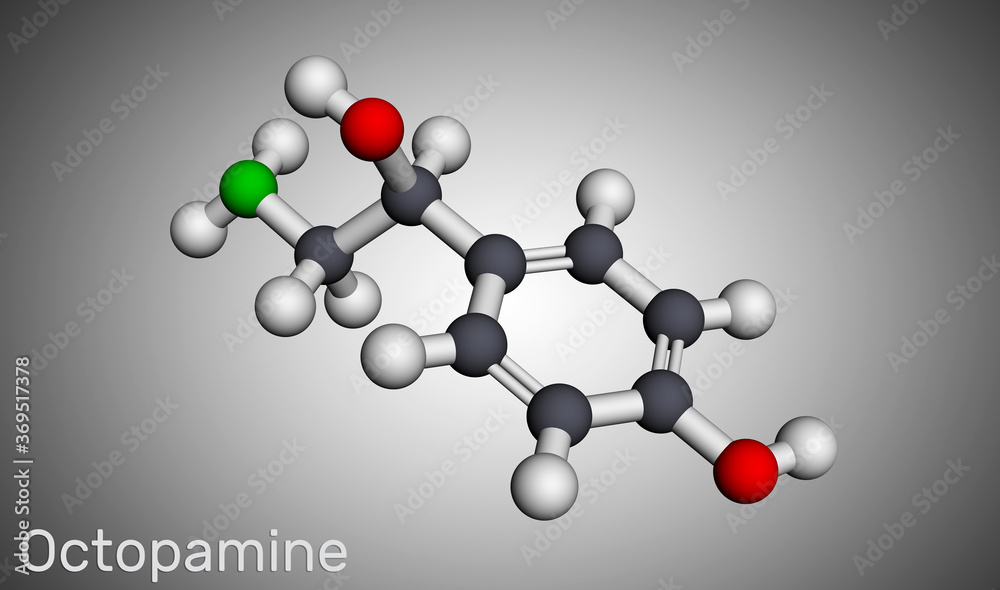 Octopamine molecule. It is biogenic phenylethanolamine, sympathomimetic ...