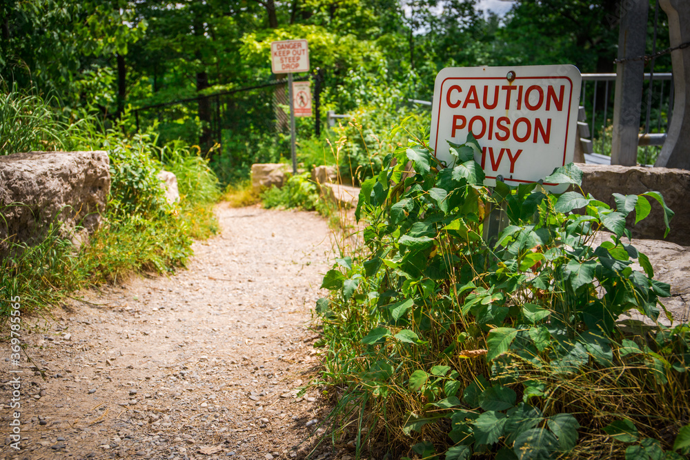 sign dangerous plant "poison ivy". Plant and sign Stock Photo | Adobe Stock