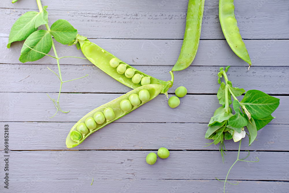 pea pods on a grey rustic table. fresh grown green peas. high protein ...