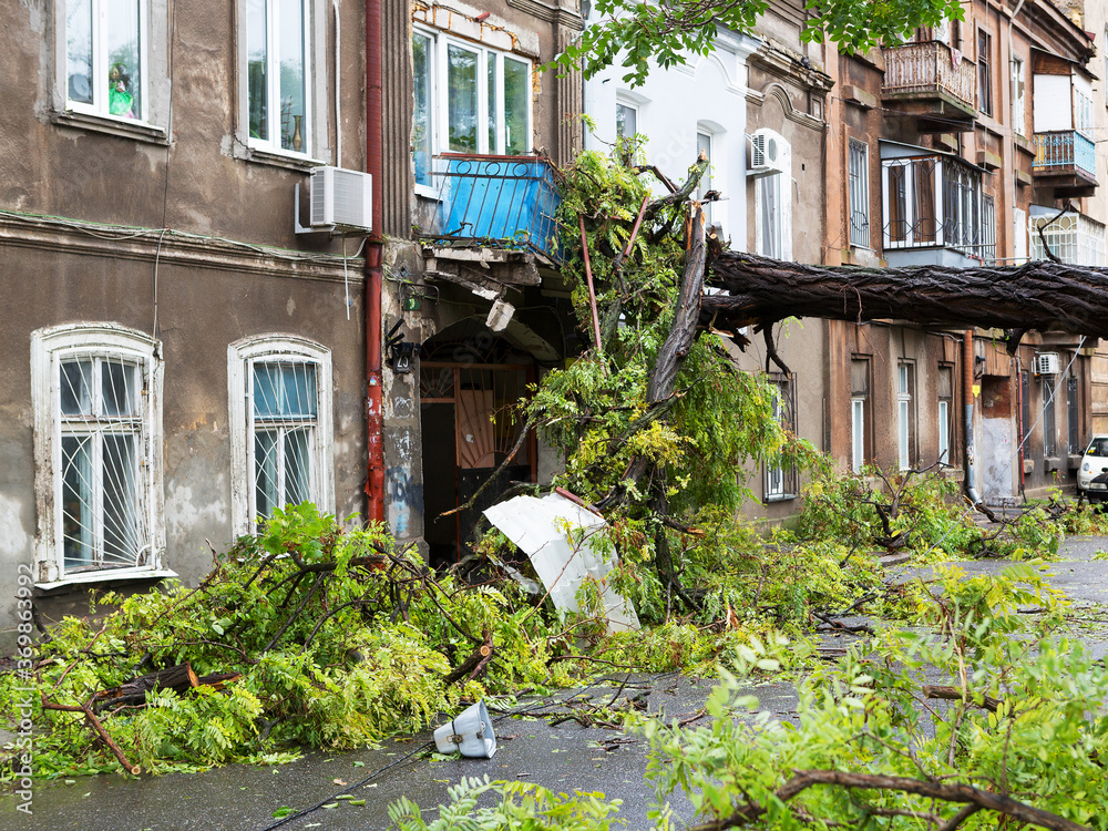 Hurricane CHRISTIE. Heavy rain and gale - force gusts of wind caused ...
