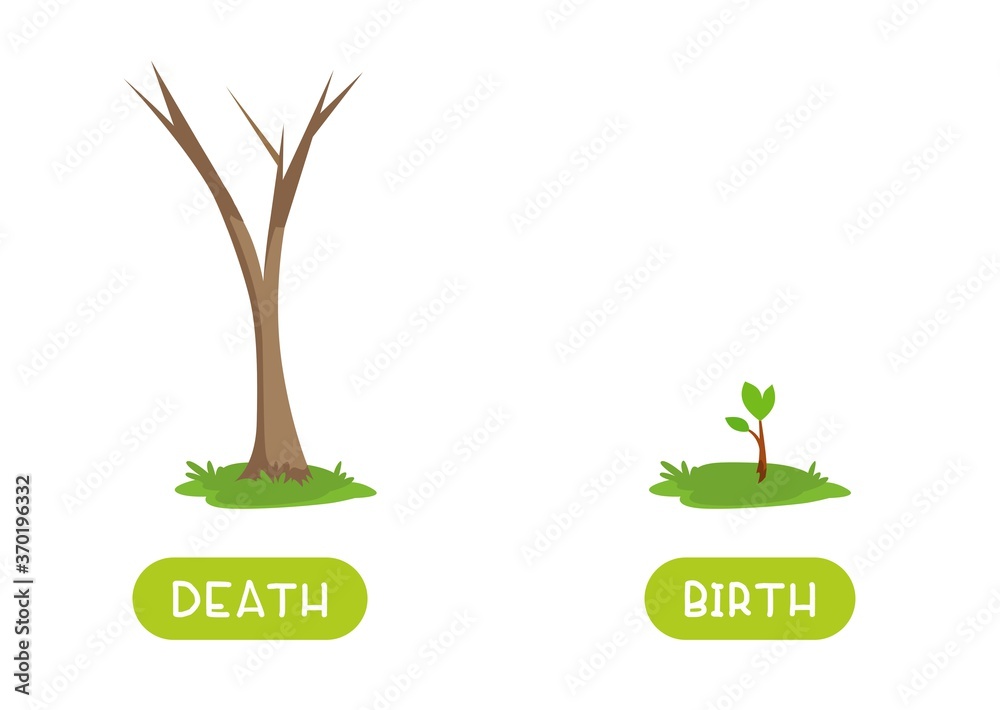 Death and birth antonyms word card vector template. Flashcard for ...