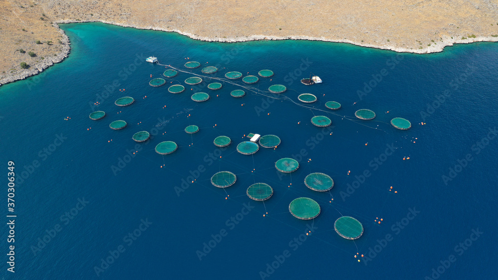 Aerial drone photo of large fish farming unit of sea bass and sea bream ...