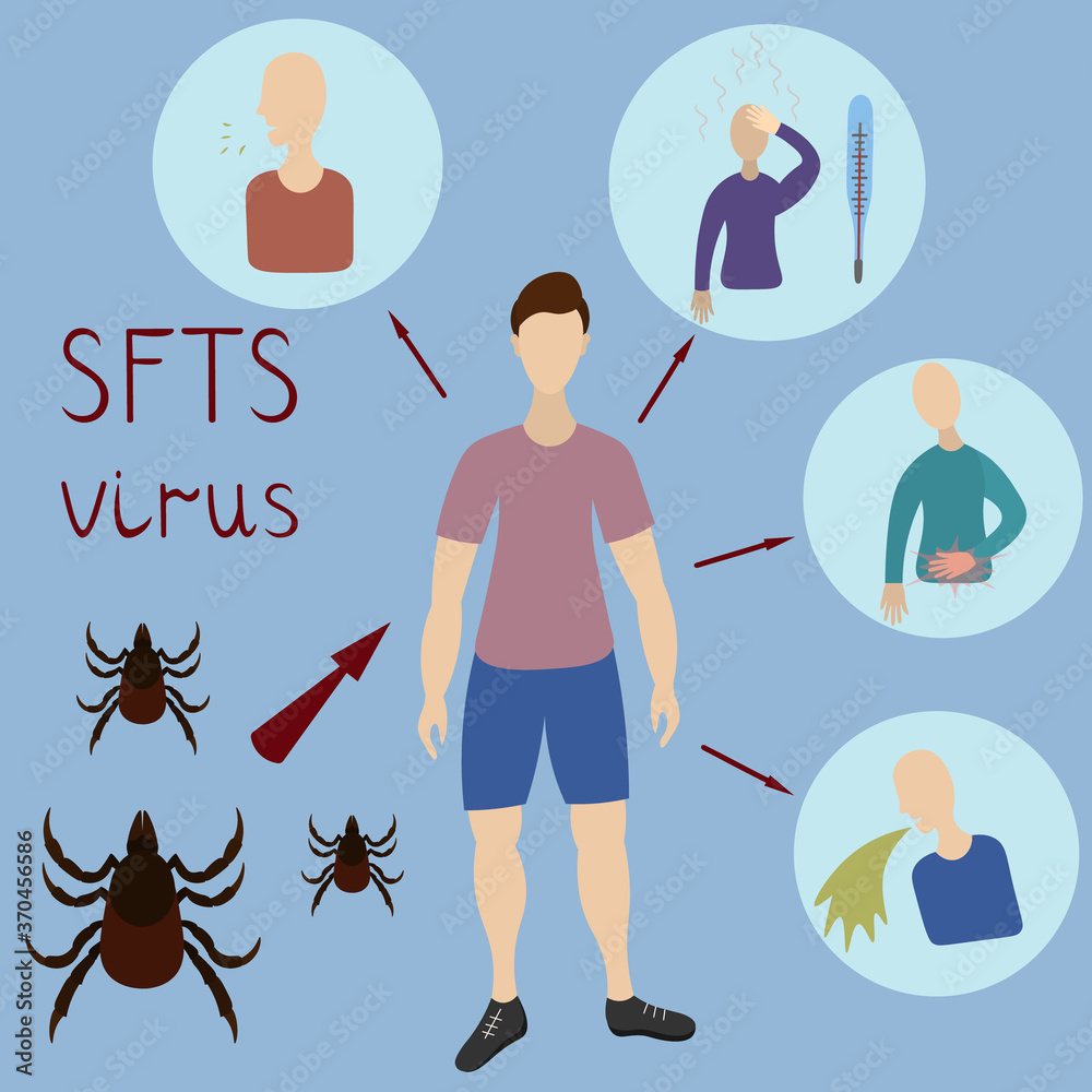 Symptoms of SFTS virus. Path of infection insect mite-human. Vector ...