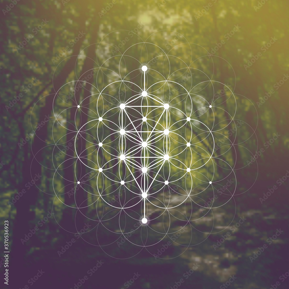 Flower Of Life Iphone Wallpaper