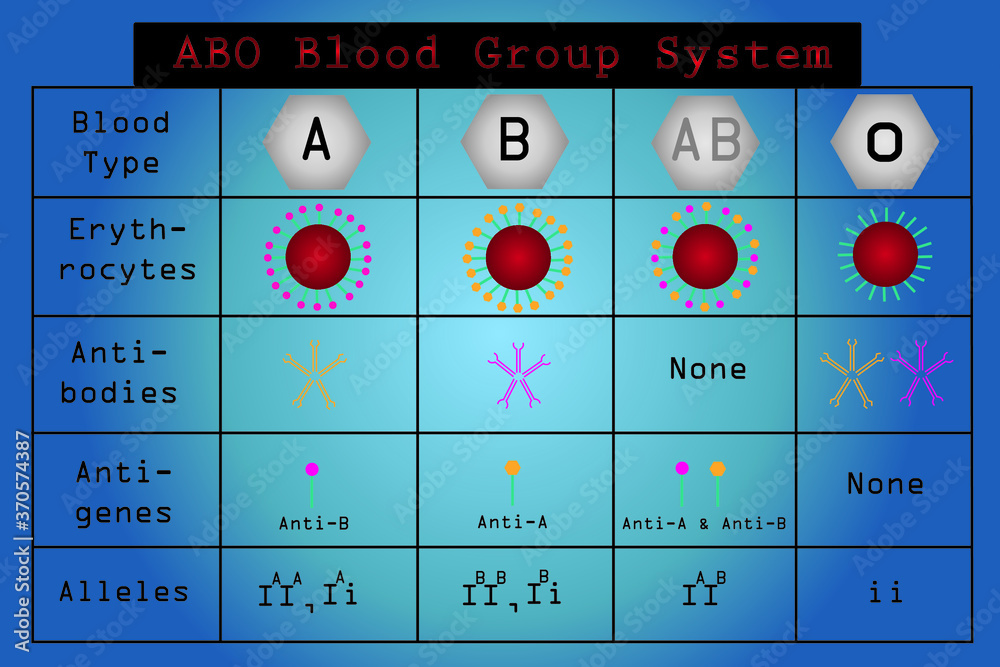 ABO blood group system and allele of ABO blood group. classification of ...