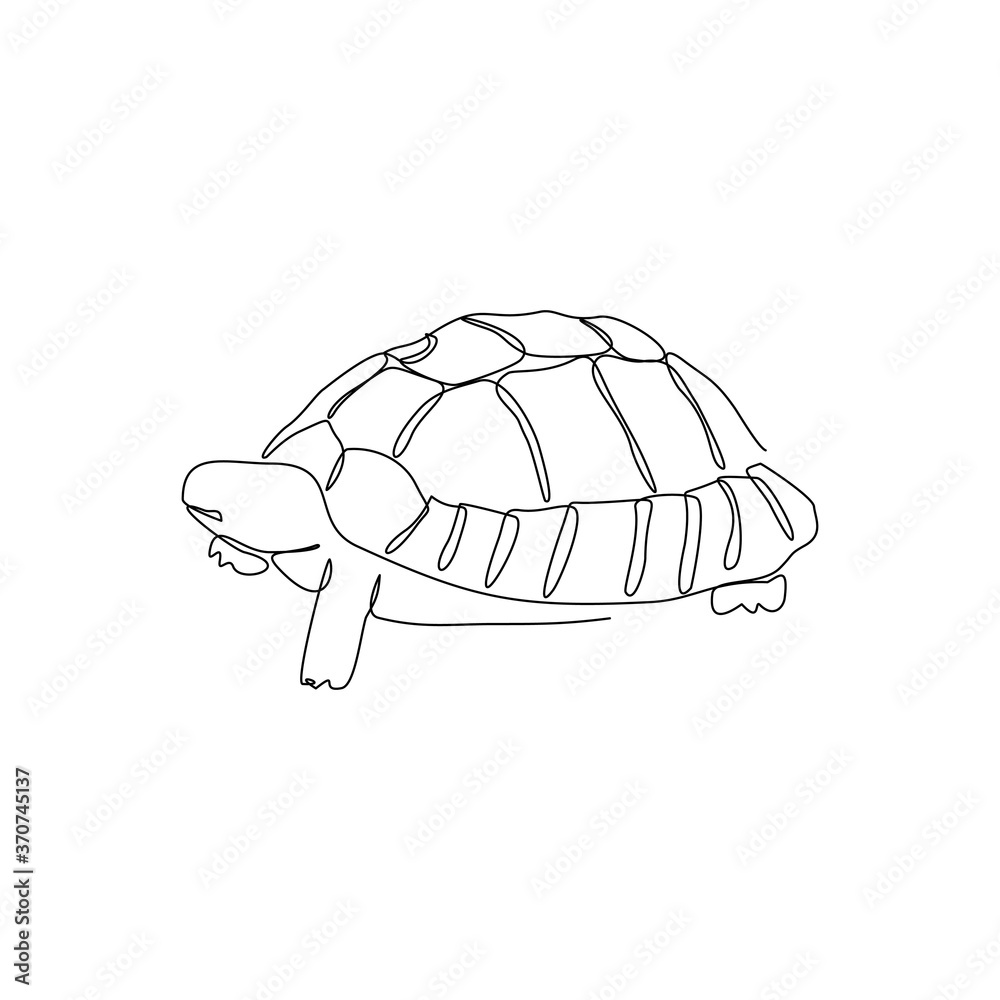 continuous line drawing of turtle tortoise. Single line art concept of ...