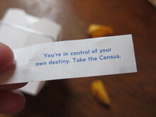 Fortune Cookie Tell Free Stock Photo - Public Domain Pictures