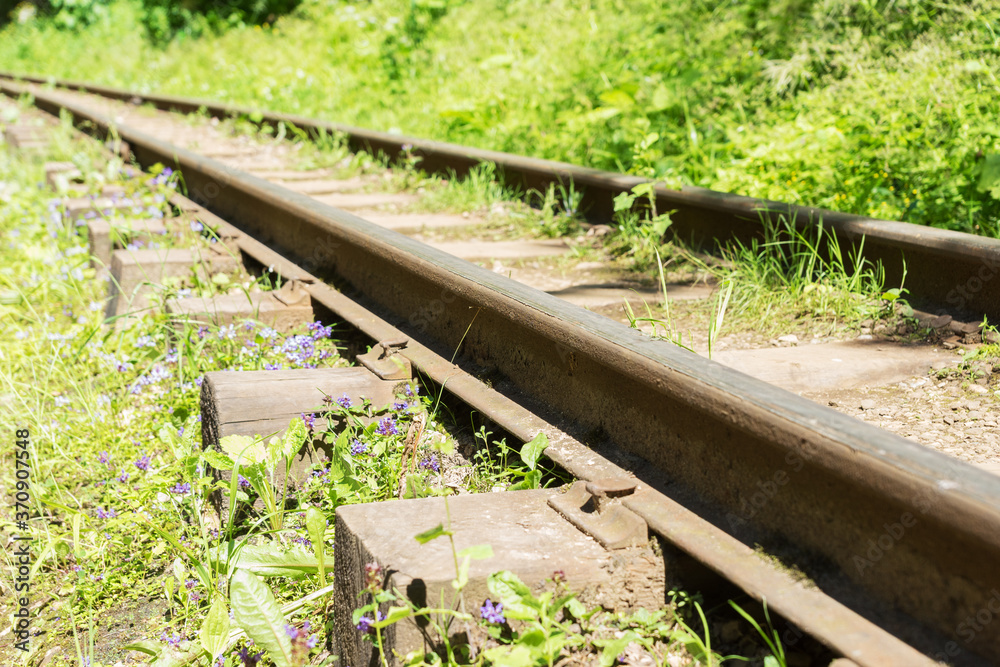 old abandoned railway in summer green forest. Termination of train ...