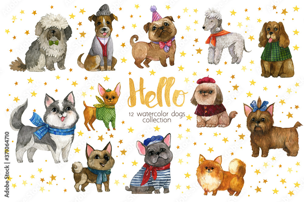 Watercolor Dog Breeds,Dog Clipart Set,Animals Pets,Puppy Dog postcard ...