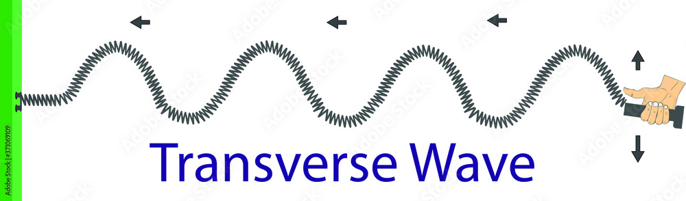 physics. spring stretched. transverse waves. longitudinal. The ...